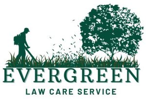 Contact our team today and get a free estimate for any of the services ...